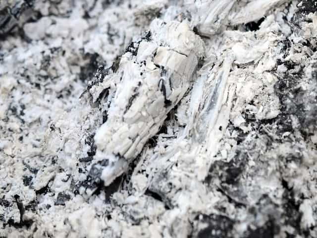 Cenere, un fertilizzante naturale: come utilizzarla