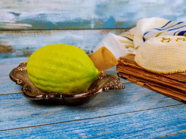 Etrog, il cedro più cercato al mondo