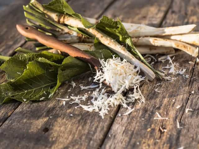 Rafano, proprietà e benefici