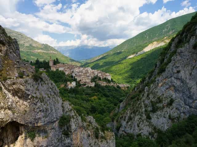 Orso marsicano, il più raro in Italia