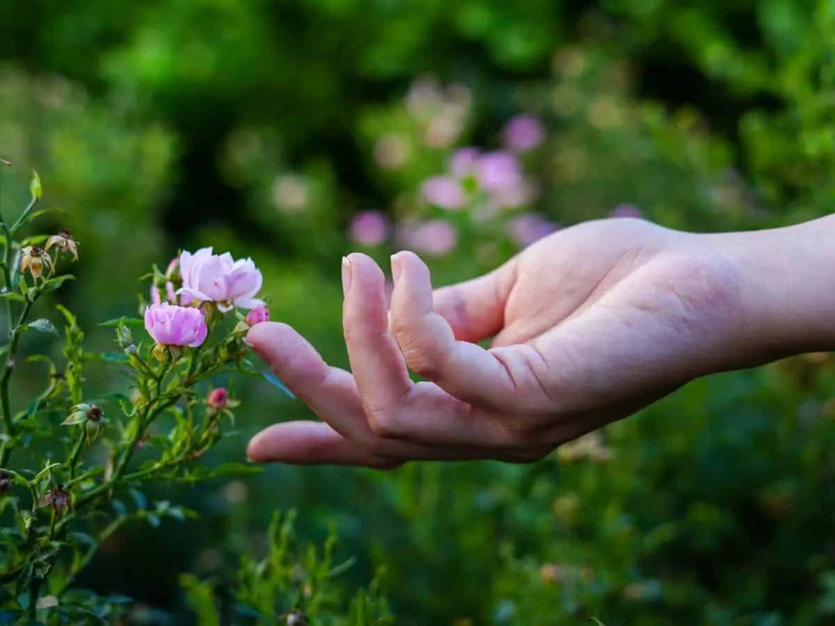 San Martino, la famosissima poesia di Giosuè Carducci