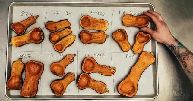 Row 7 Seed Company: lo chef Dan Barber spiega il trend delle sementi ...