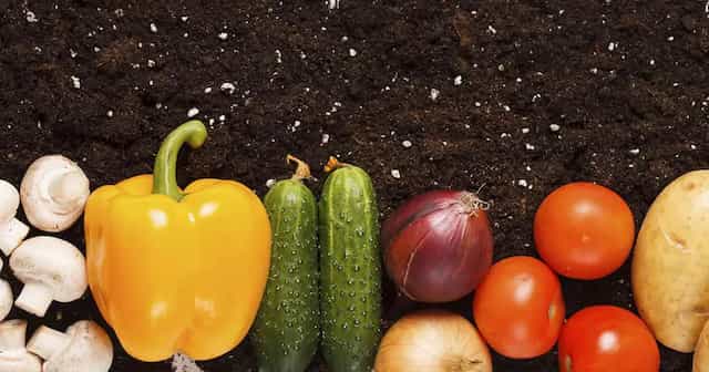 10 cibi da comprare sempre biologici - inNaturale