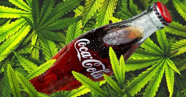 Coca-Cola pensa di produrre bevande alla marijuana - inNaturale