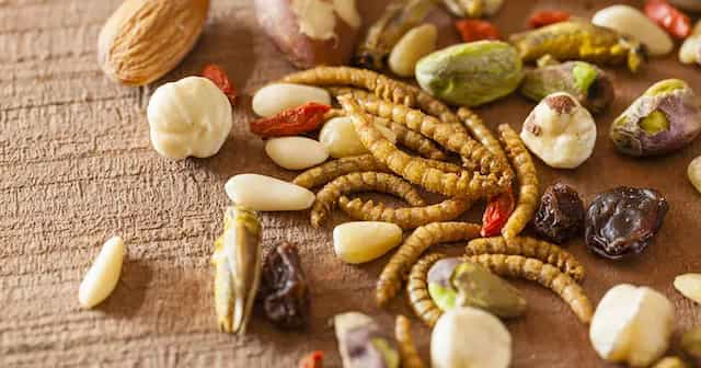 Cosa sono i novel food - inNaturale