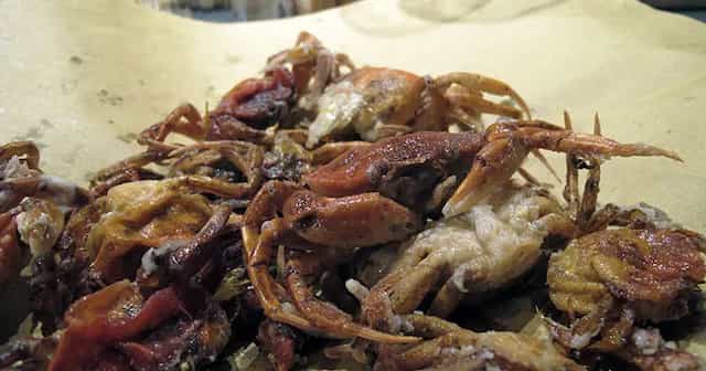 Cosa sono le moeche e come si cucinano - inNaturale