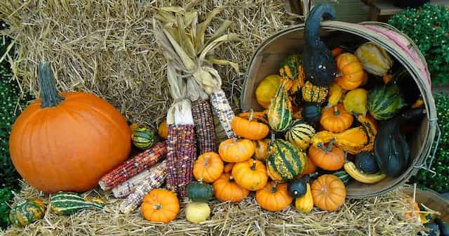 Thanksgiving in Italia: ecco come e dove si festeggia - inNaturale