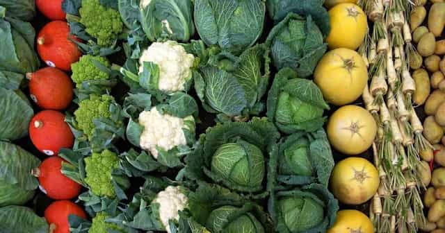 Broccoli e altre varietà di cavoli - inNaturale