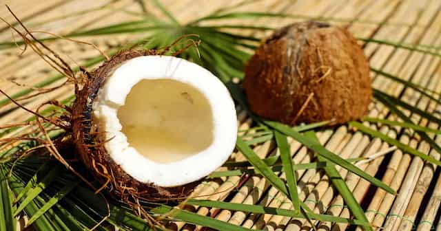 Proprietà e benefici del cocco - inNaturale