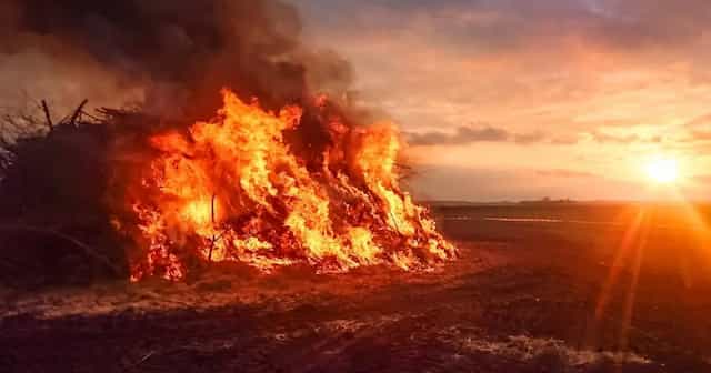 Incendi in Alaska, perché lo stato americano brucia sempre di più ...