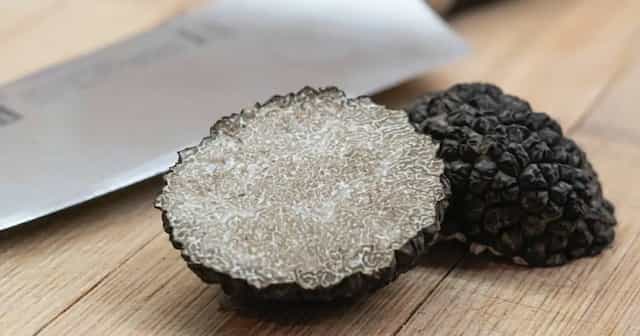 Qual è la differenza tra tartufo nero scorzone e uncinato? - inNaturale