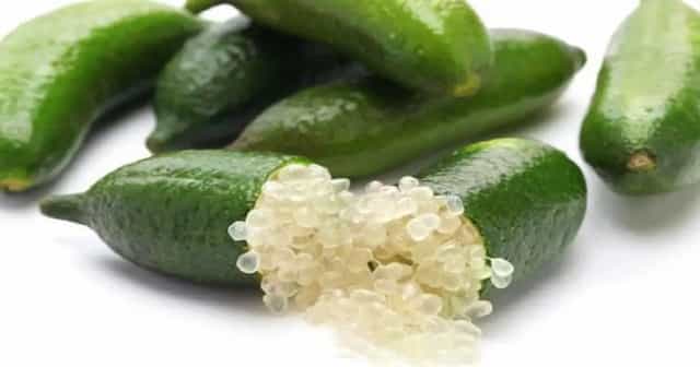 Caviale di Limone: come si usa in cucina? - inNaturale