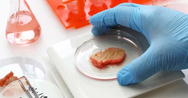 Che cos'è il cibo sintetico? - inNaturale
