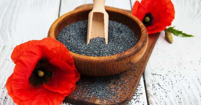 Semi di papavero: proprietà e benefici - inNaturale